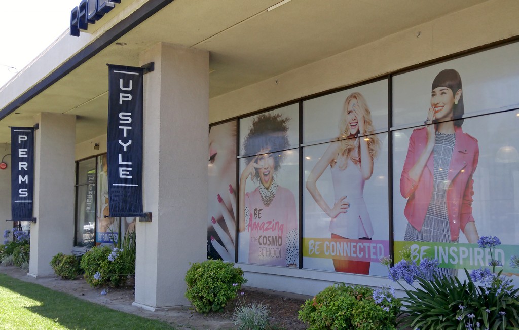 Paul Mitchell School Window Graphics